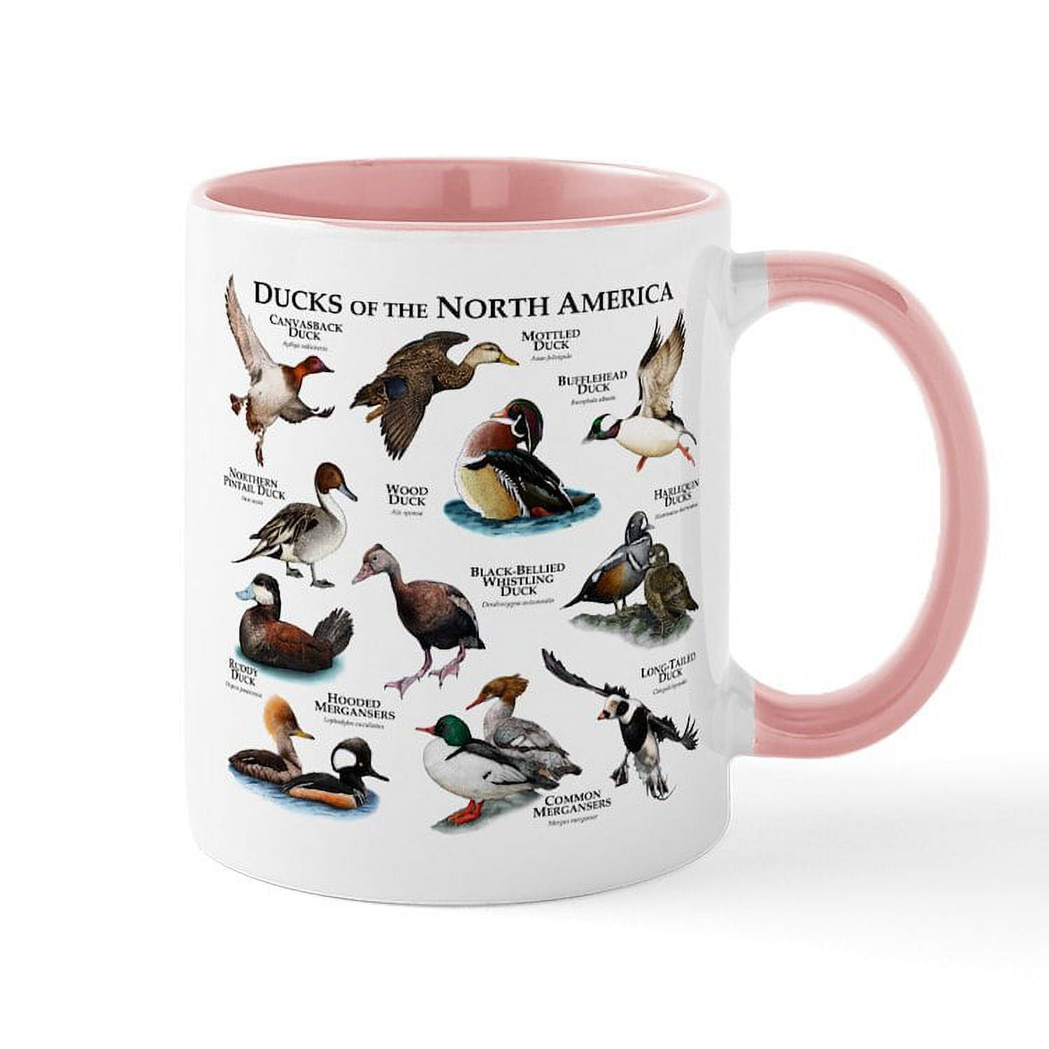 CafePress - Ducks Of North America Mug - 11 oz Ceramic Mug - Novelty ...