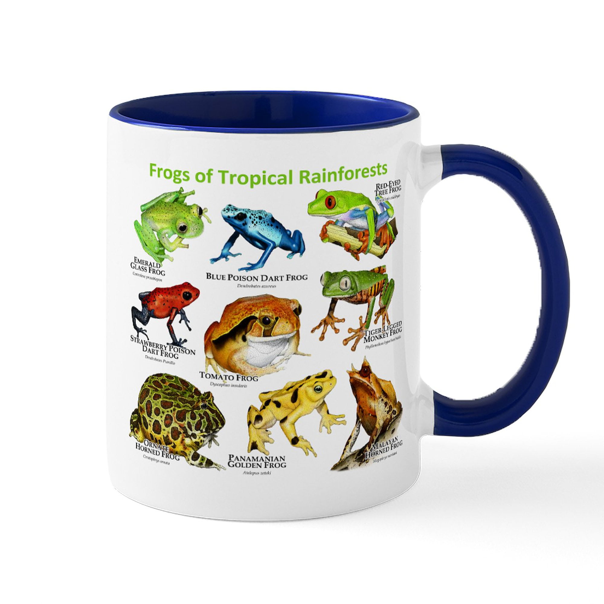 CafePress - Frogs Of The Tropical Rainforests Mug - 11 oz Ceramic Mug ...