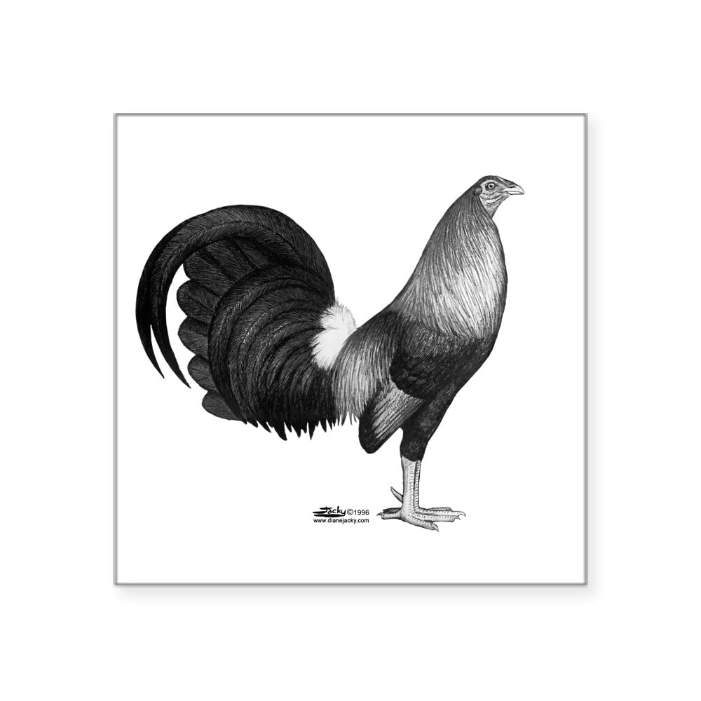 CafePress - Gamecock Red Hatch Rooster Sticker - Square Sticker 3" x 3 ...