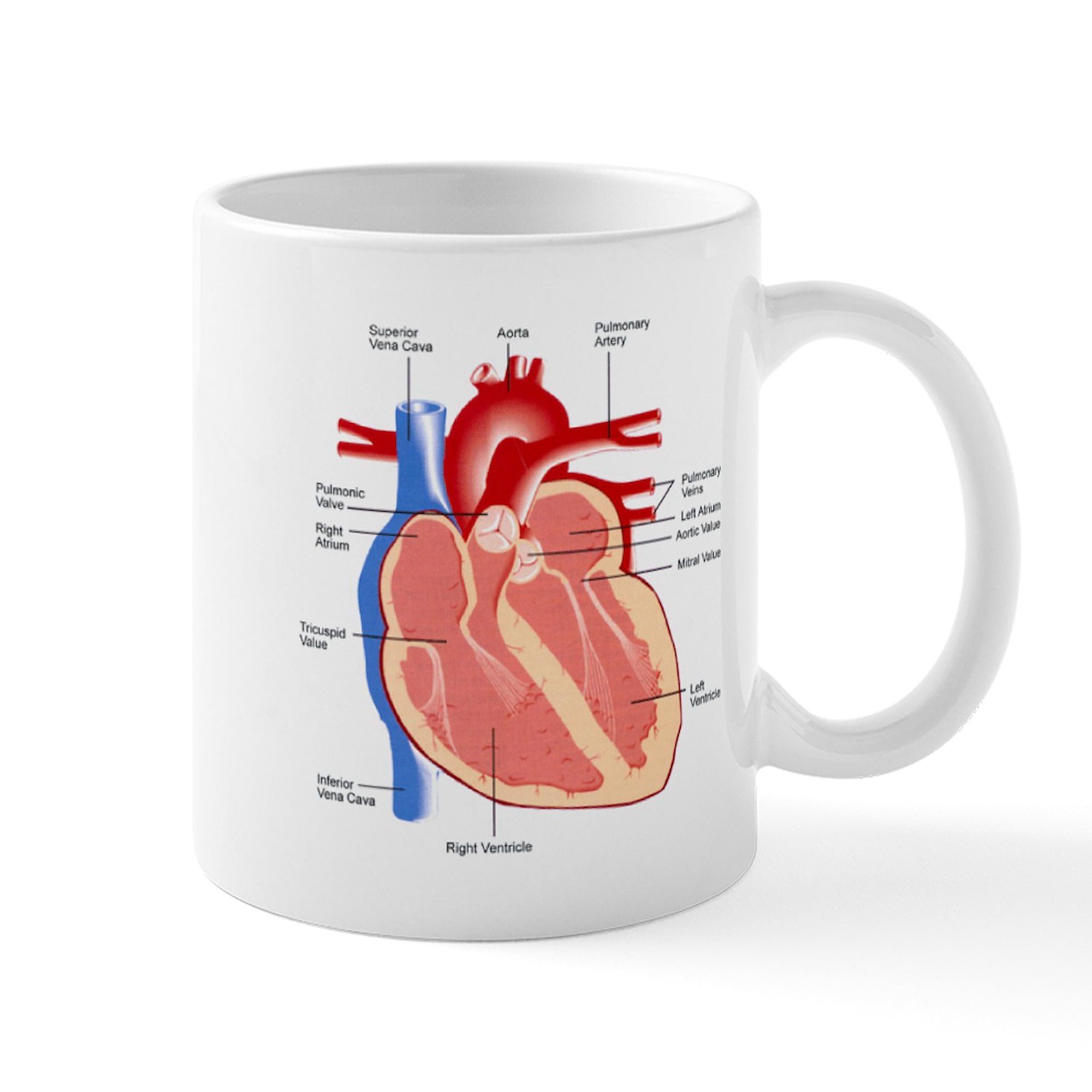CafePress - Human Heart Anatomy Mug - 11 oz Ceramic Mug - Novelty ...