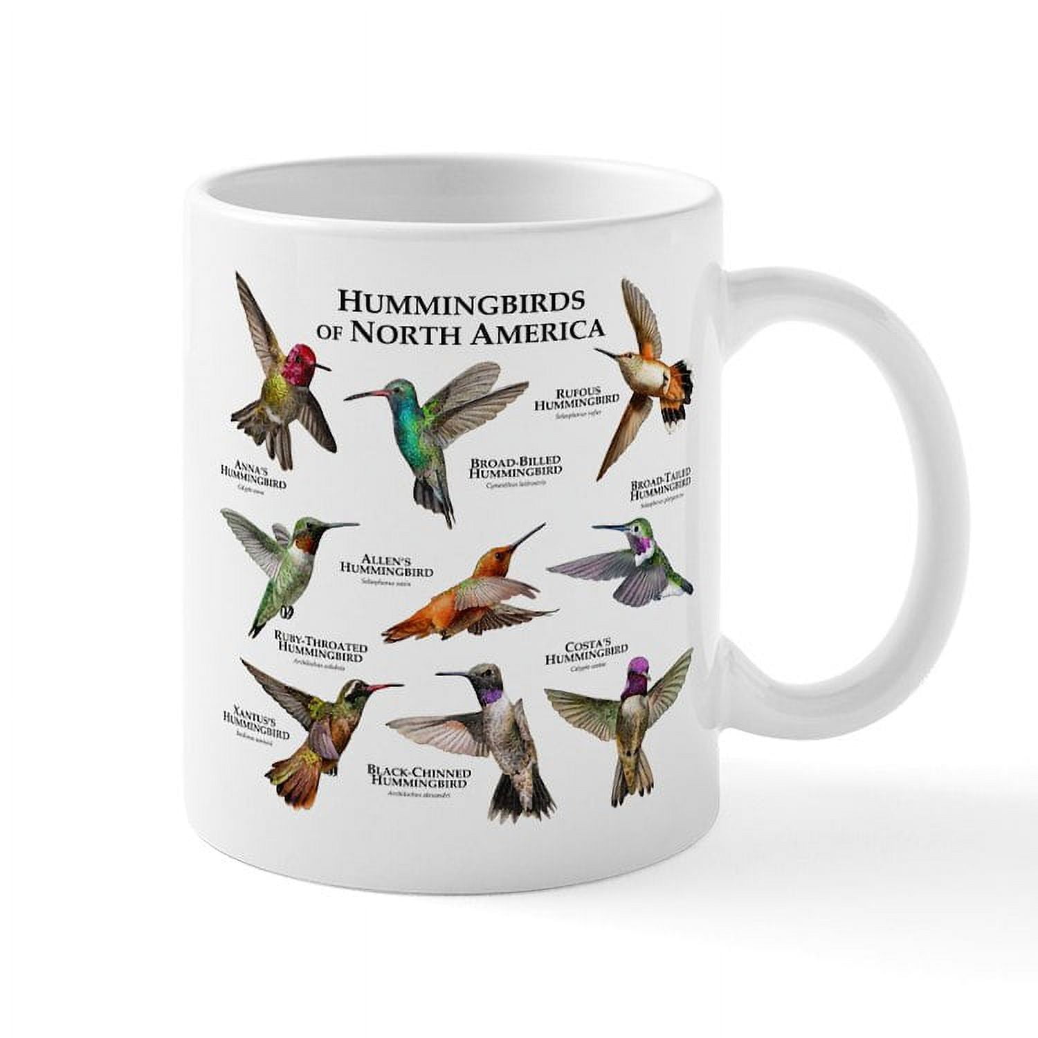 CafePress - Hummingbirds Of North America Mug - 11 oz Ceramic Mug ...