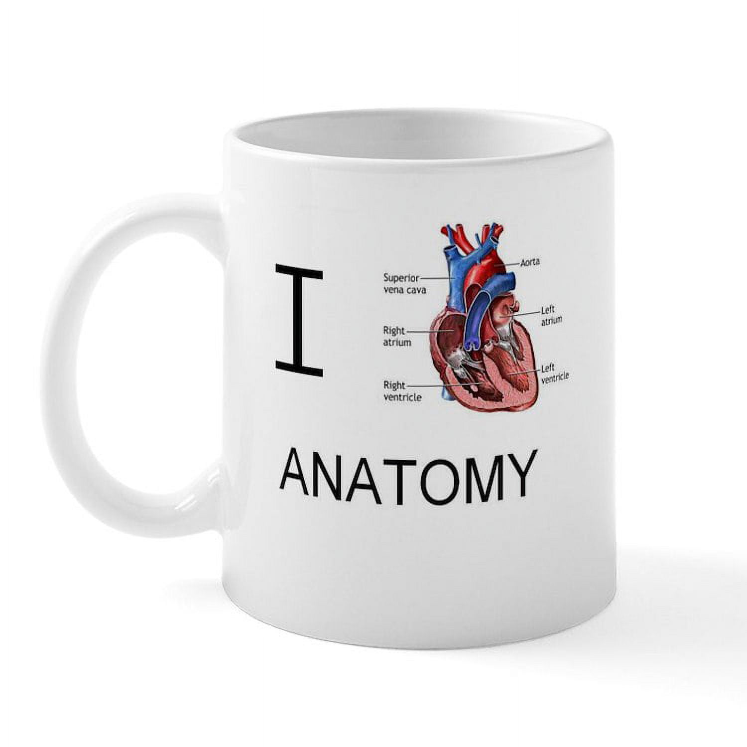 CafePress - I Heart Anatomy Mugs - 11 oz Ceramic Mug - Novelty Coffee ...
