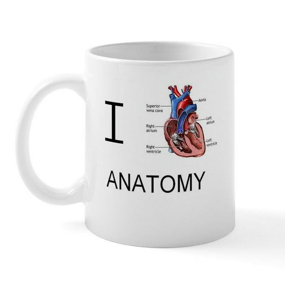 CafePress - I Heart Anatomy Mugs - 11 oz Ceramic Mug - Novelty Coffee ...