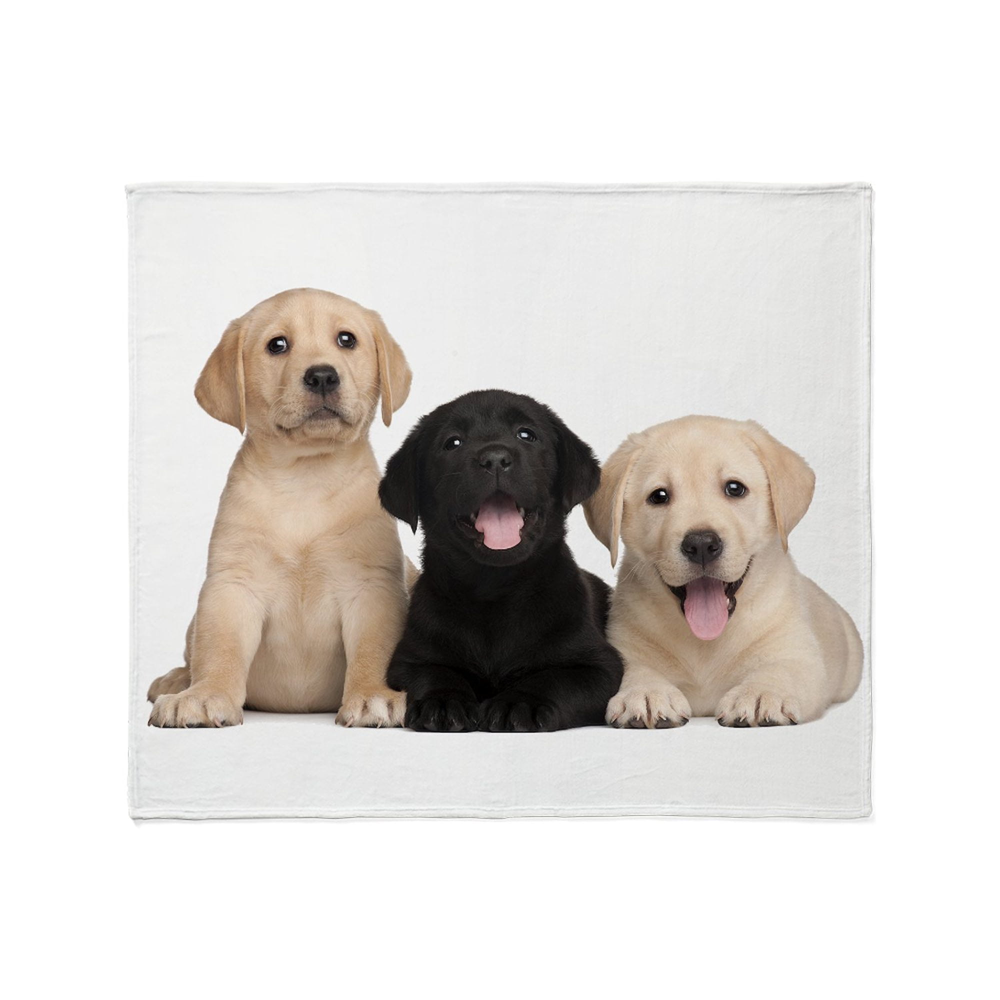 CafePress - Labrador Puppies Throw Blanket - Soft Fleece Throw Blanket ...