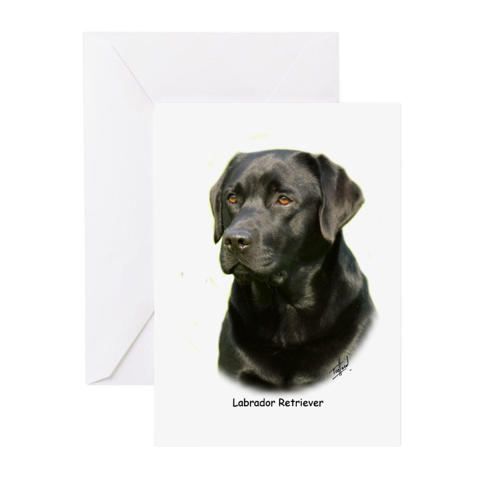 CafePress - Labrador Retriever 9A054D 23A Greeting Cards (Pk O ...