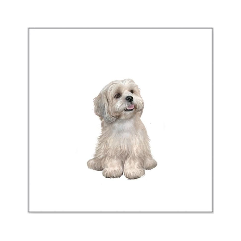 CafePress - Lhasa Apso (R) Square Sticker 3 X 3 - Square Sticker 3" x 3 ...