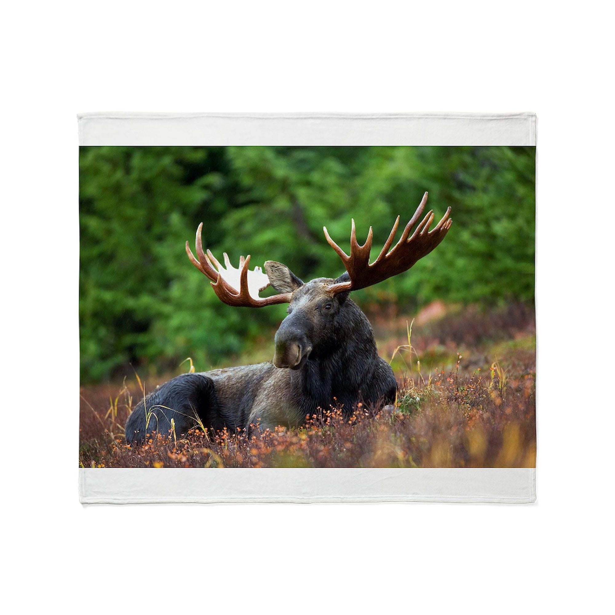 CafePress - Majestic Moose Throw Blanket - Soft Fleece Throw Blanket ...