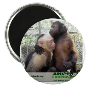 Monkey Magnets