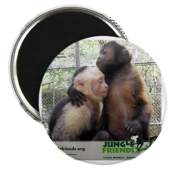 Monkey Magnets