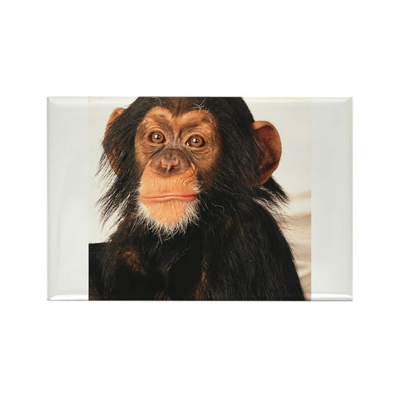 Monkey Magnets