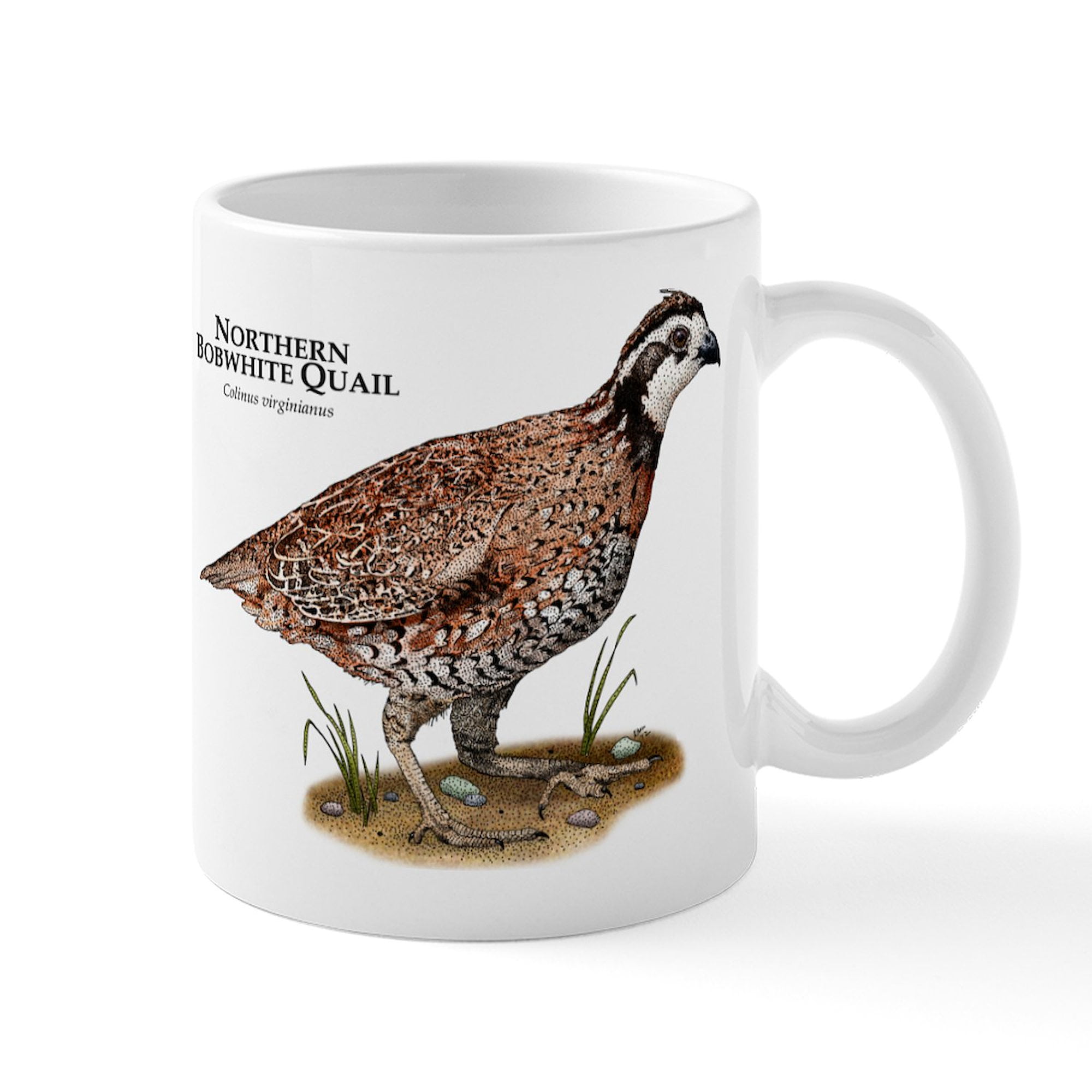 CafePress - Northern Bobwhite Quail Mug - 11 oz Ceramic Mug - Novelty ...