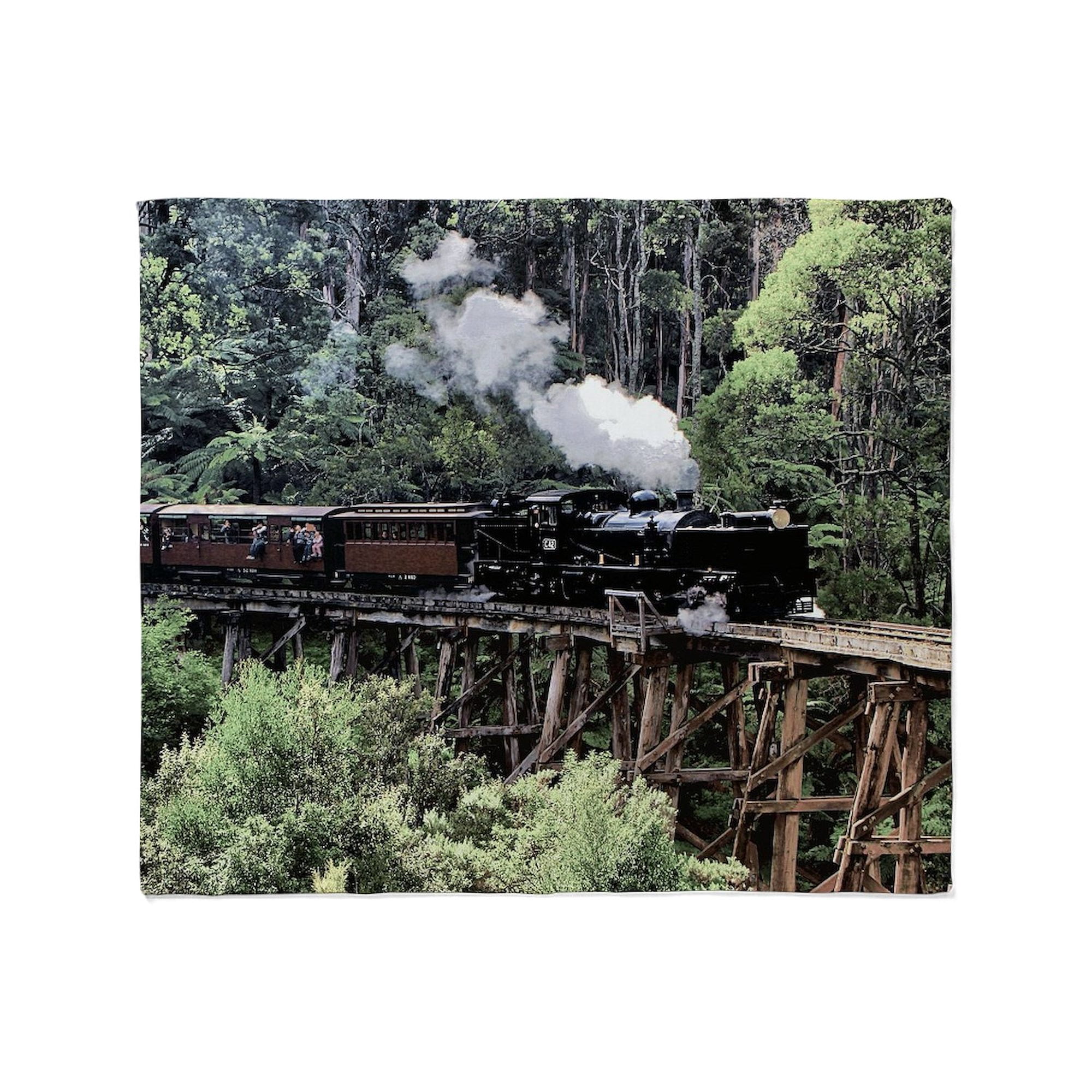 CafePress - Old Narrow Gauge Steam Train On Tres Throw Blanket - Soft ...