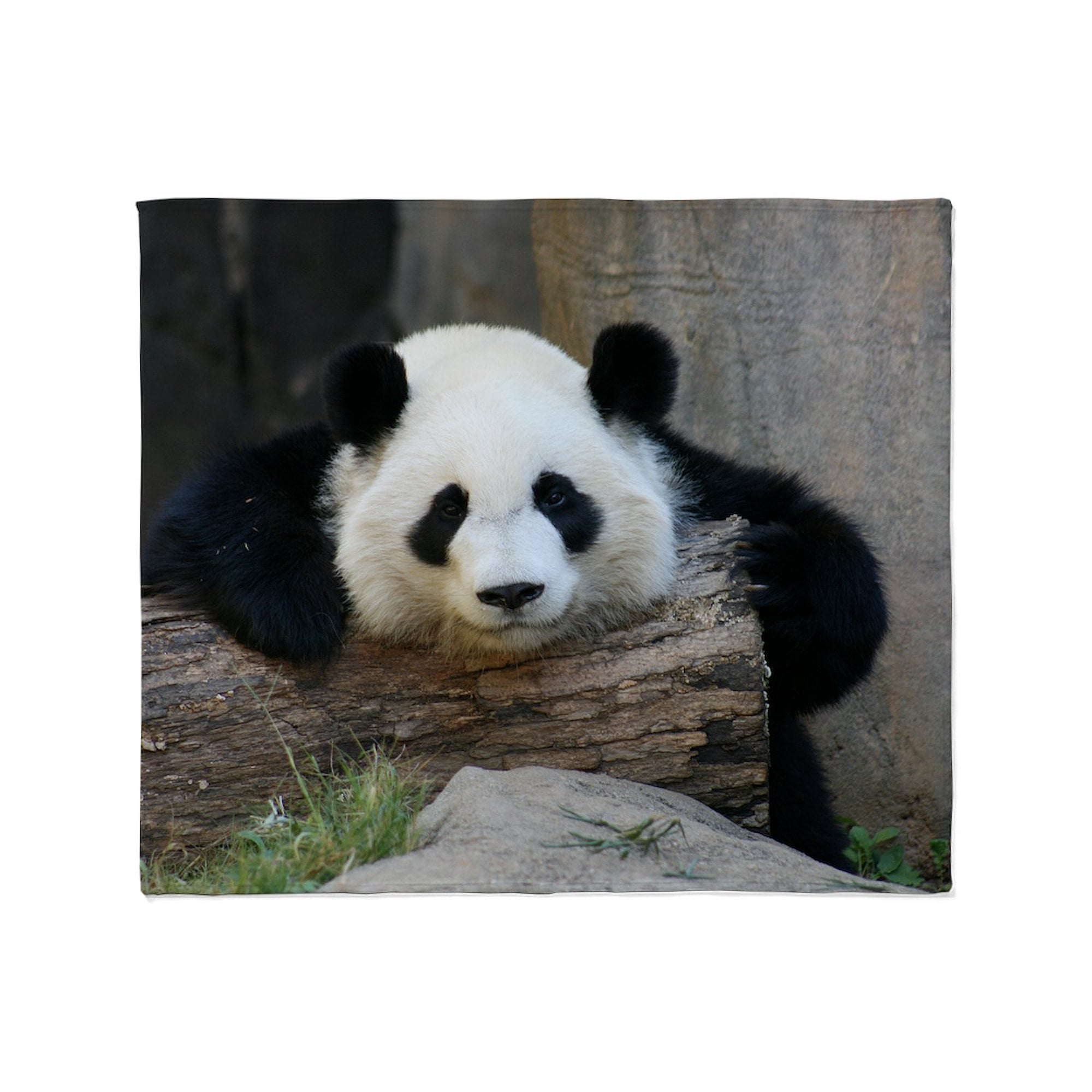 CafePress - Panda Throw Blanket - Soft Fleece Throw Blanket, 50"x60 ...