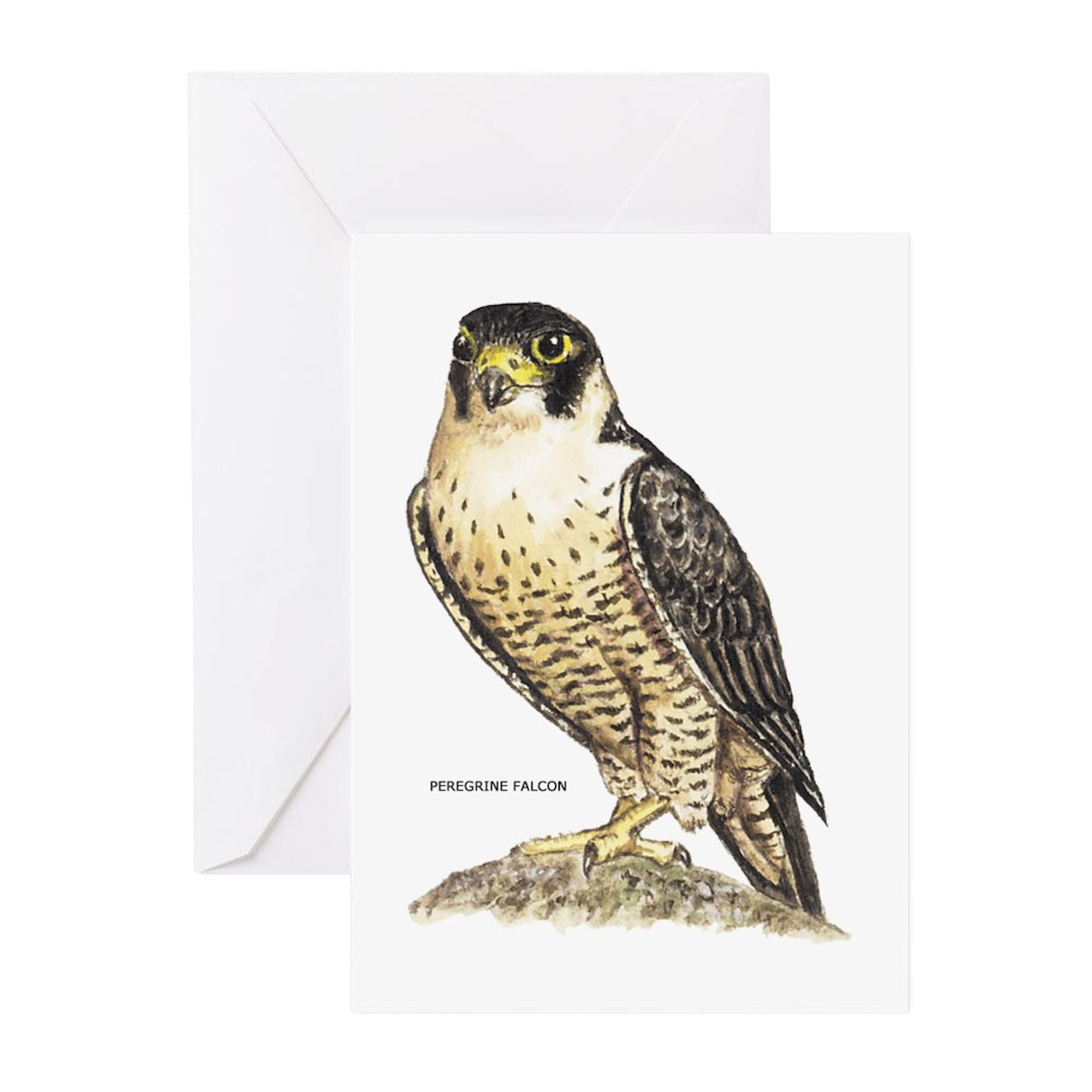 CafePress - Peregrine Falcon Bird - Greeting Card (20-pack), Note Card ...