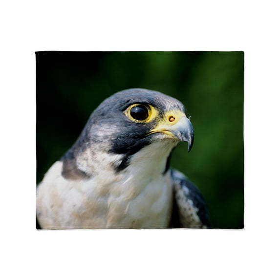 CafePress - Peregrine Falcon Throw Blanket - Soft Fleece Throw Blanket ...