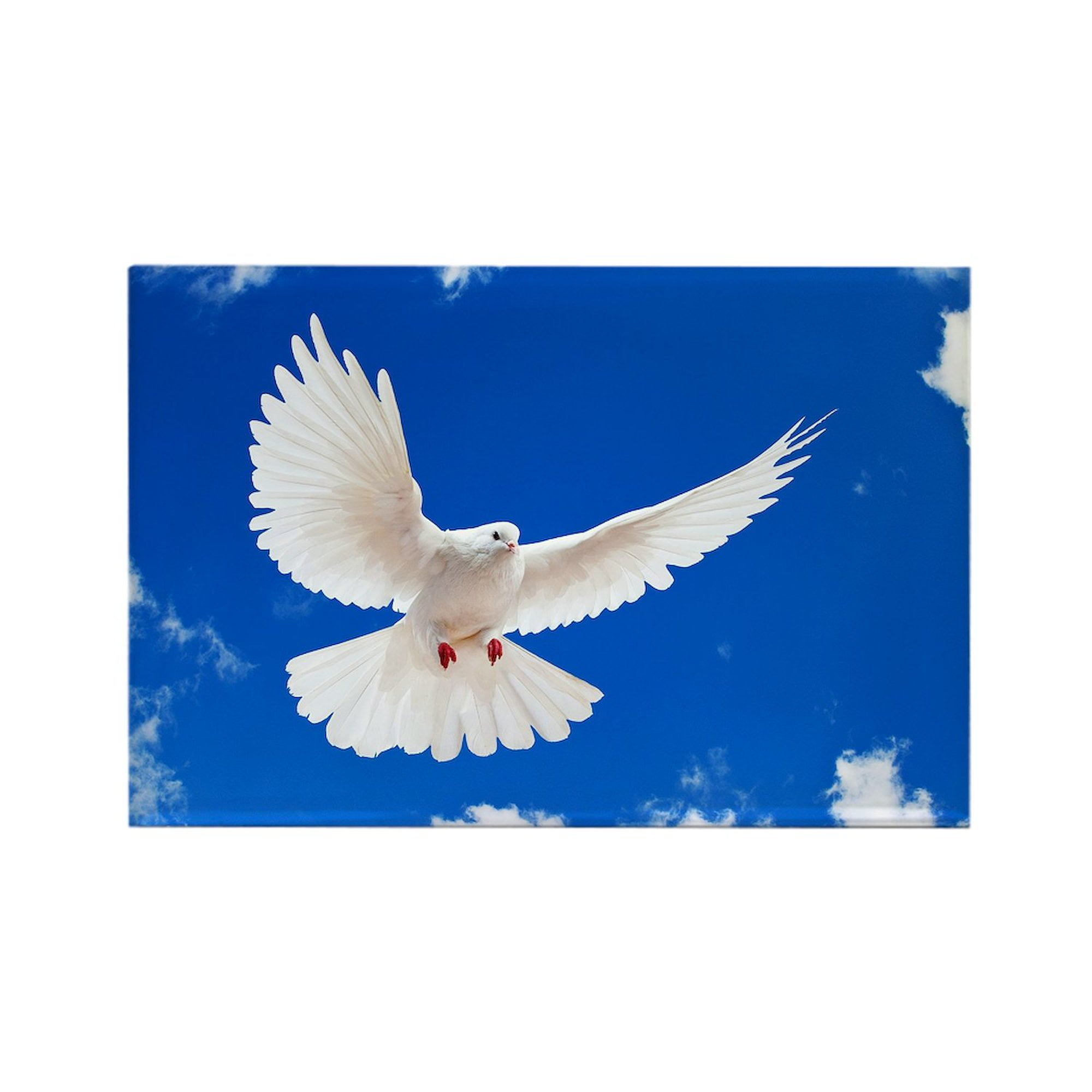CafePress - Purity Dove Magnets - Rectangle Magnet, 2"x3" Refrigerator ...