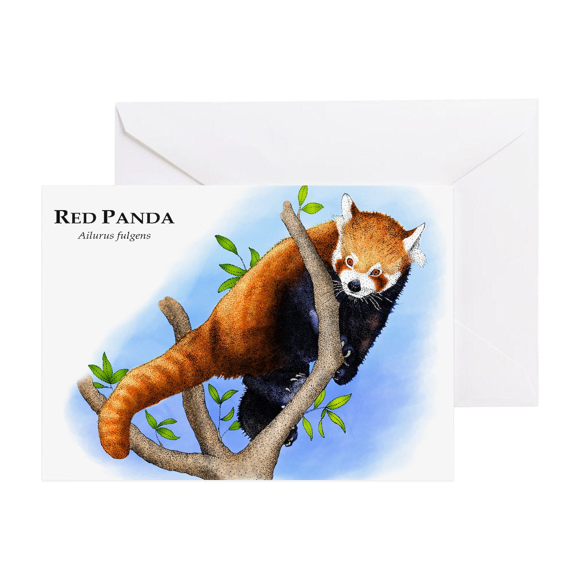 CafePress - Red Panda - Greeting Card, Blank Inside Matte - Walmart.com