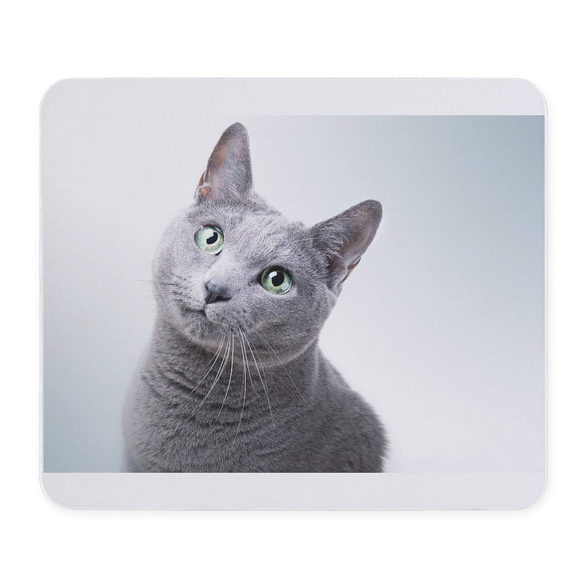 CafePress - Russian Blue Cat Mousepad - Non-slip Rubber Mousepad ...