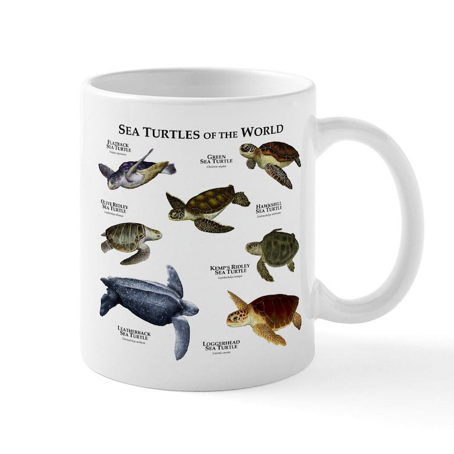 CafePress - Sea Turtles Of The World Mug - 11 oz Ceramic Mug - Novelty ...