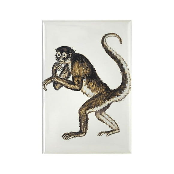 Monkey Magnets