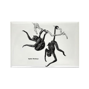 Monkey Magnets