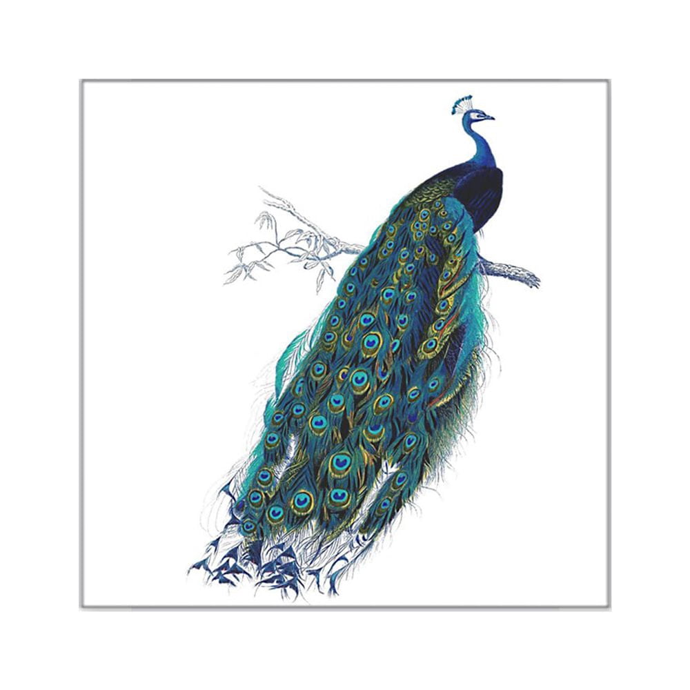 CafePress - Vintage Peacock Sticker - Square Sticker 3" x 3" - Walmart.com