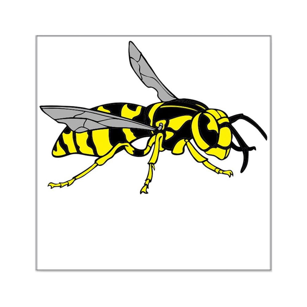 CafePress - Wasp Sticker - Square Sticker 3" x 3" - Walmart.com
