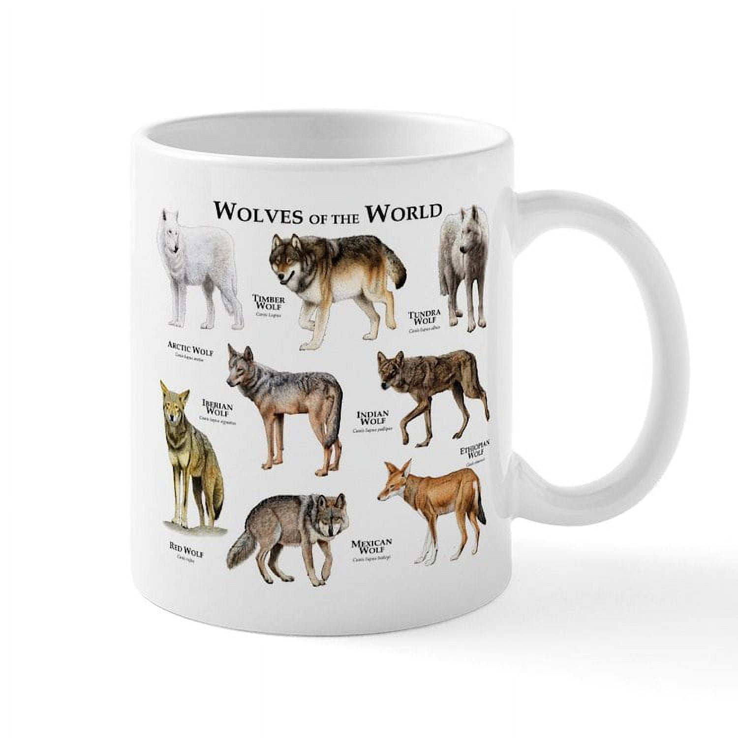 CafePress - Wolves Of The World Mug - 11 oz Ceramic Mug - Novelty ...