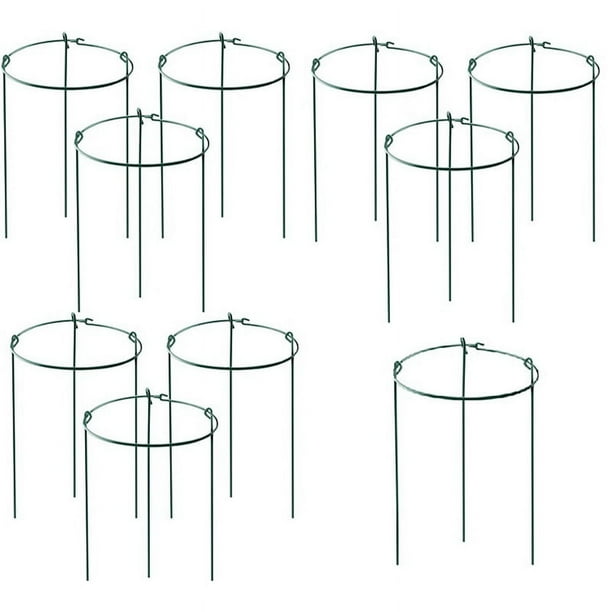 Cage Rings Garden Plant Support Brace, Pack of 10 Plant Stakes Rings, Strong Garden Supports ...