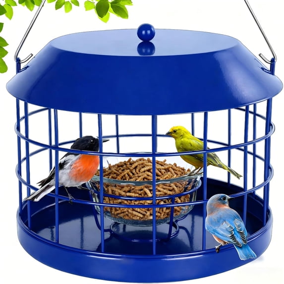 Caged Bluebird Feeder for Mealworms with Glass Bowl, Squirrel Proof ...