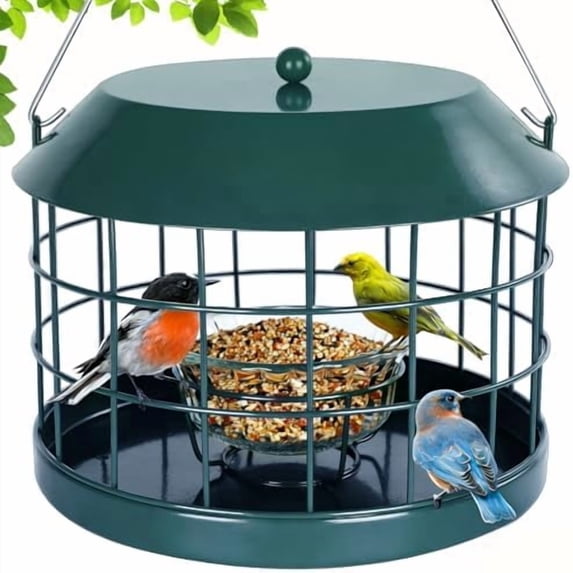 Caged Bluebird Feeder for Mealworms with Glass Bowl, Squirrel Proof ...