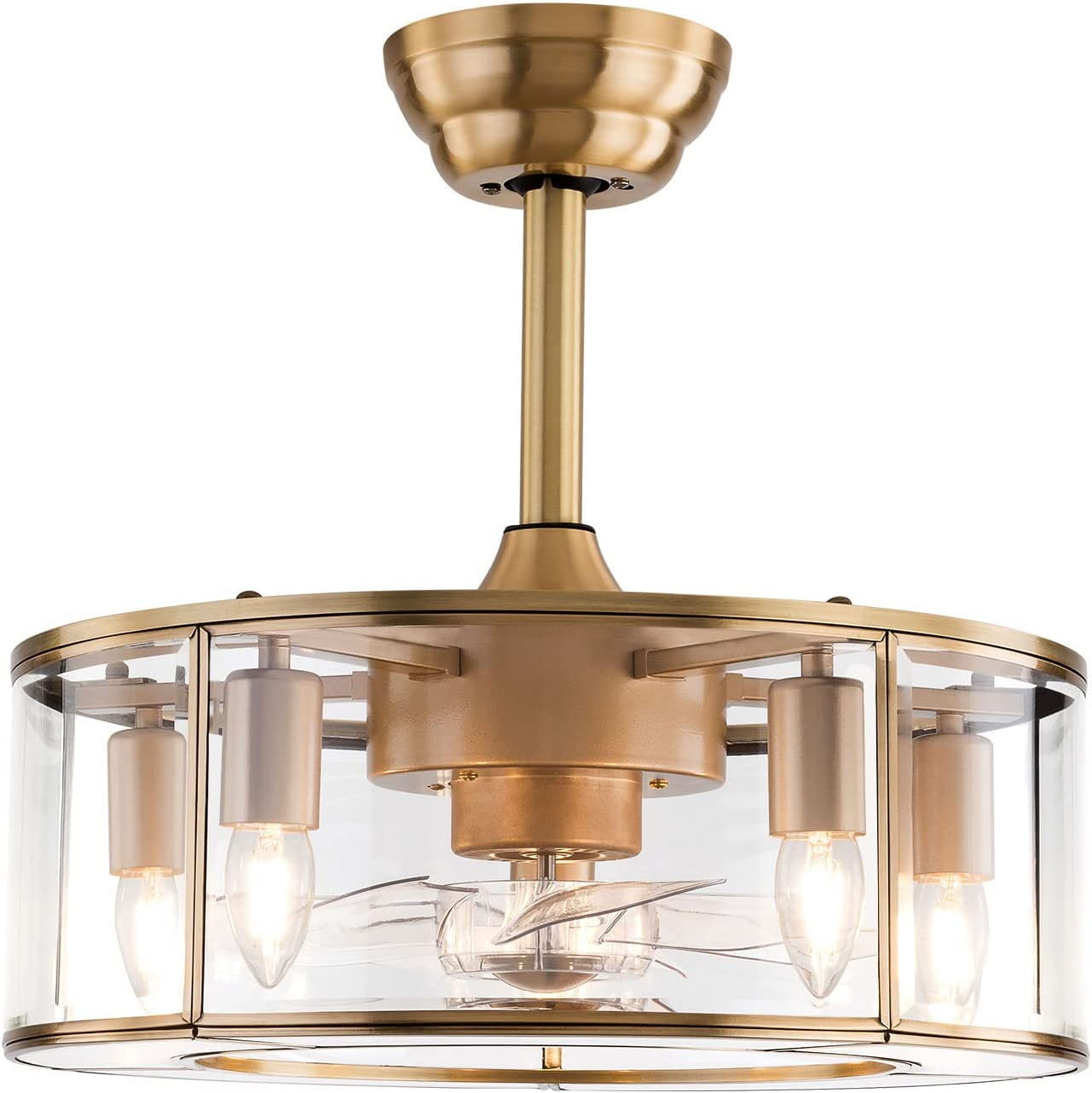 Caged Ceiling Fan with Lights Remote Control, 18 Inch Rustic Farmhouse ...