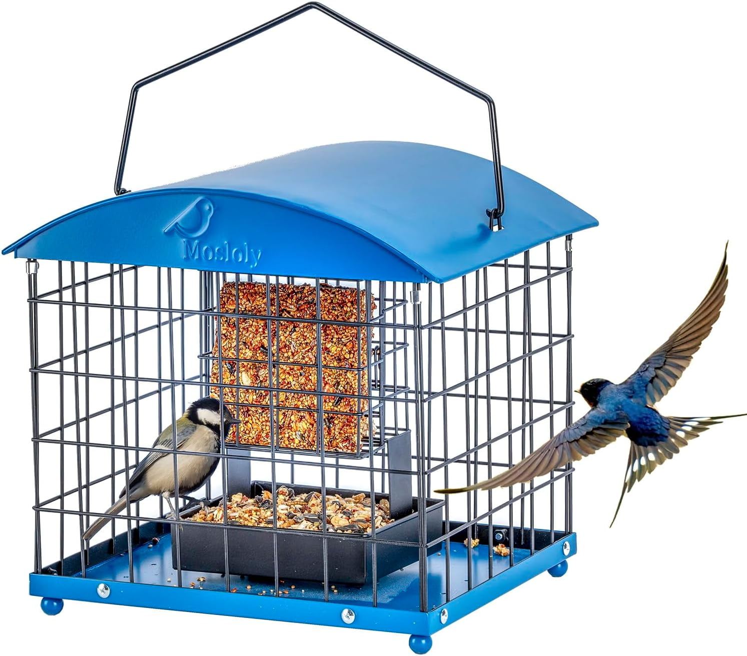 Caged Suet Bird Feeders Squirrel-Proof, Dual-Purpose Suet &Seed Wild ...