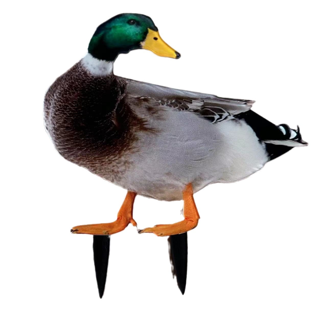 Cagogo Spring Garden Decoration, 3D Simulation Duck Yard Ground Plug-in ...