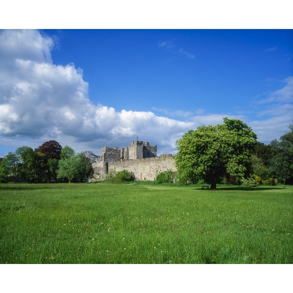 Cahir Castle Co Tipperary Ireland by The Irish Image Collection ...
