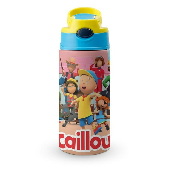 Caill-ou Insulated Stainless Steel Water Bottle with Straw Vacuum ...
