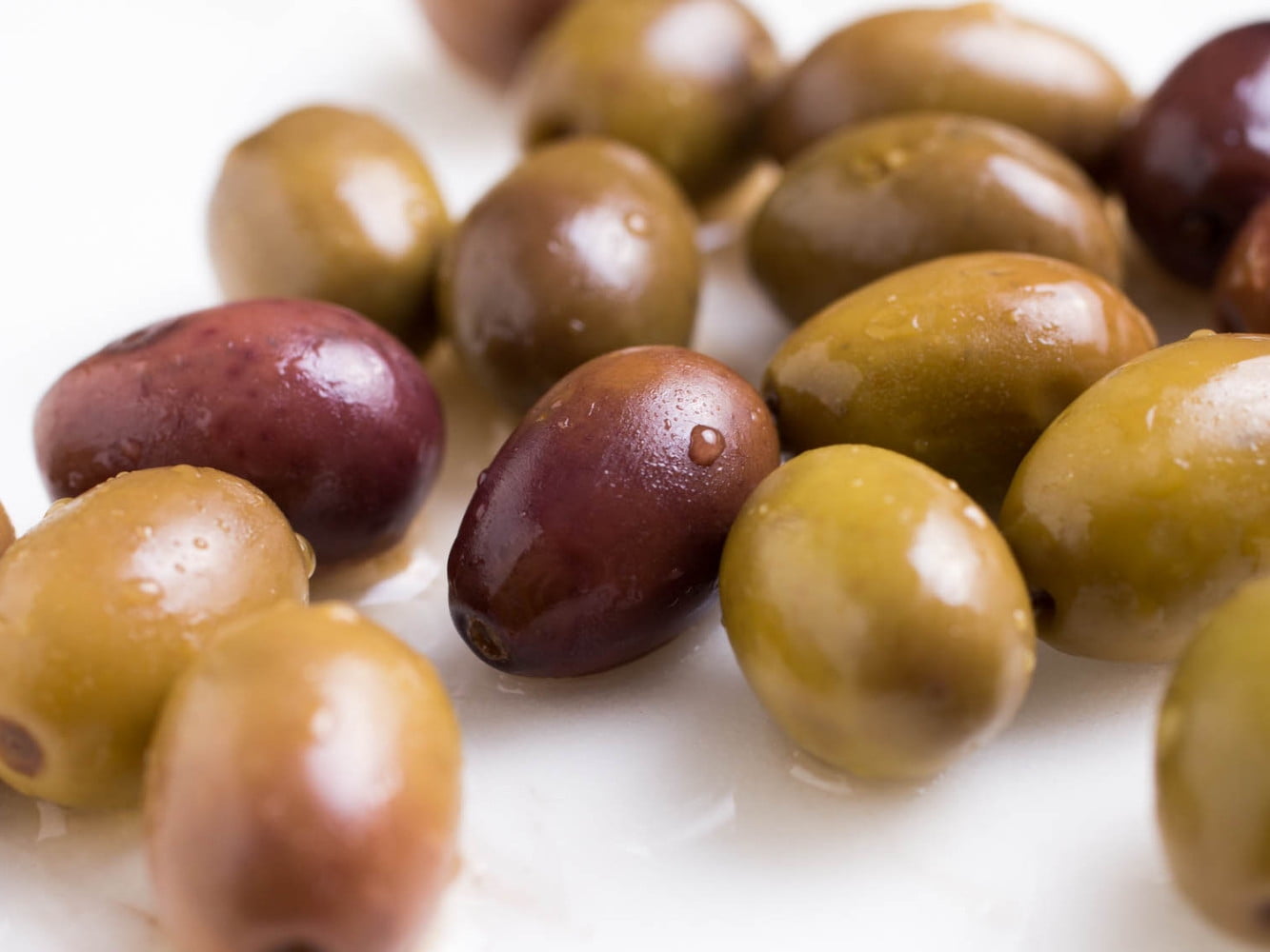 Cailletier Taggiasca Olive Tree - Tree of Peace - Olea europaea - 3.5 ...