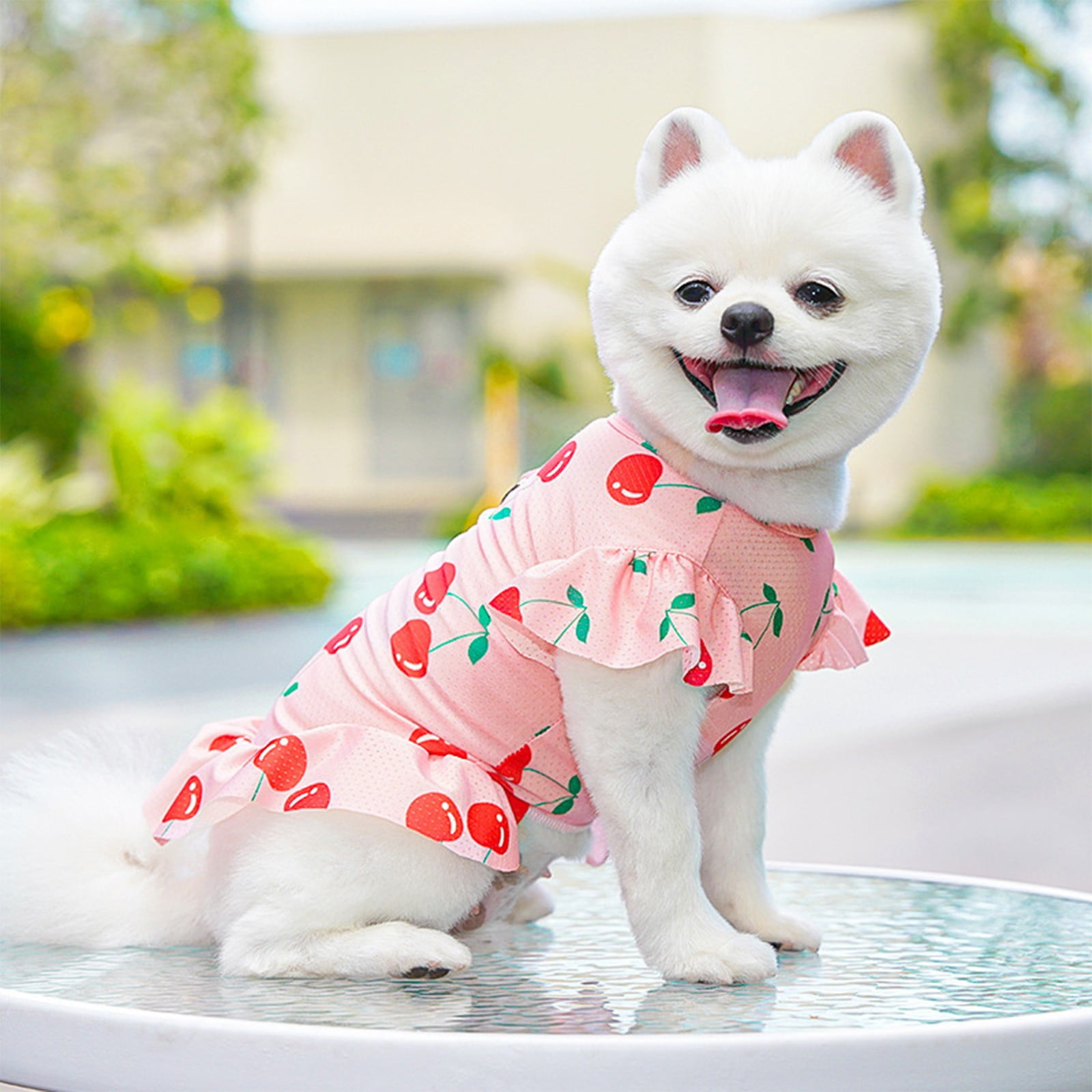 Cailmei Ice Silk Pet Floral Dress Cats And Dog Jumpsuit Summer Floral ...