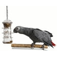 Caitec Featherland Paradise Push & Pull Foraging Bird Toy - Walmart.com