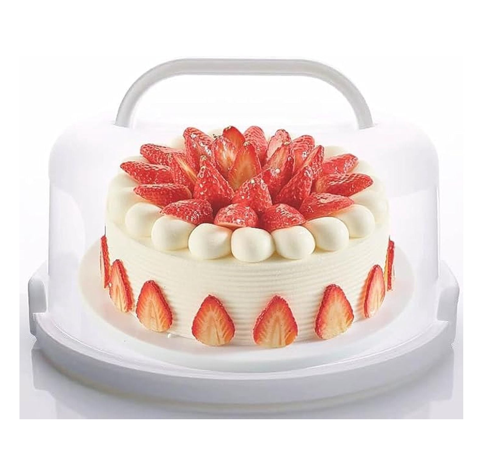 Cake Carrier 10 Inch with Lid & Handles - Round Cake Holder for ...