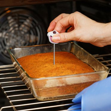 Stainless Steel Cake Testers Set, Baking Tester Sticks with Cover ...