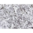CakeSupplyShop White & Silver Decorative Filler Packing, Cut/Shredded ...