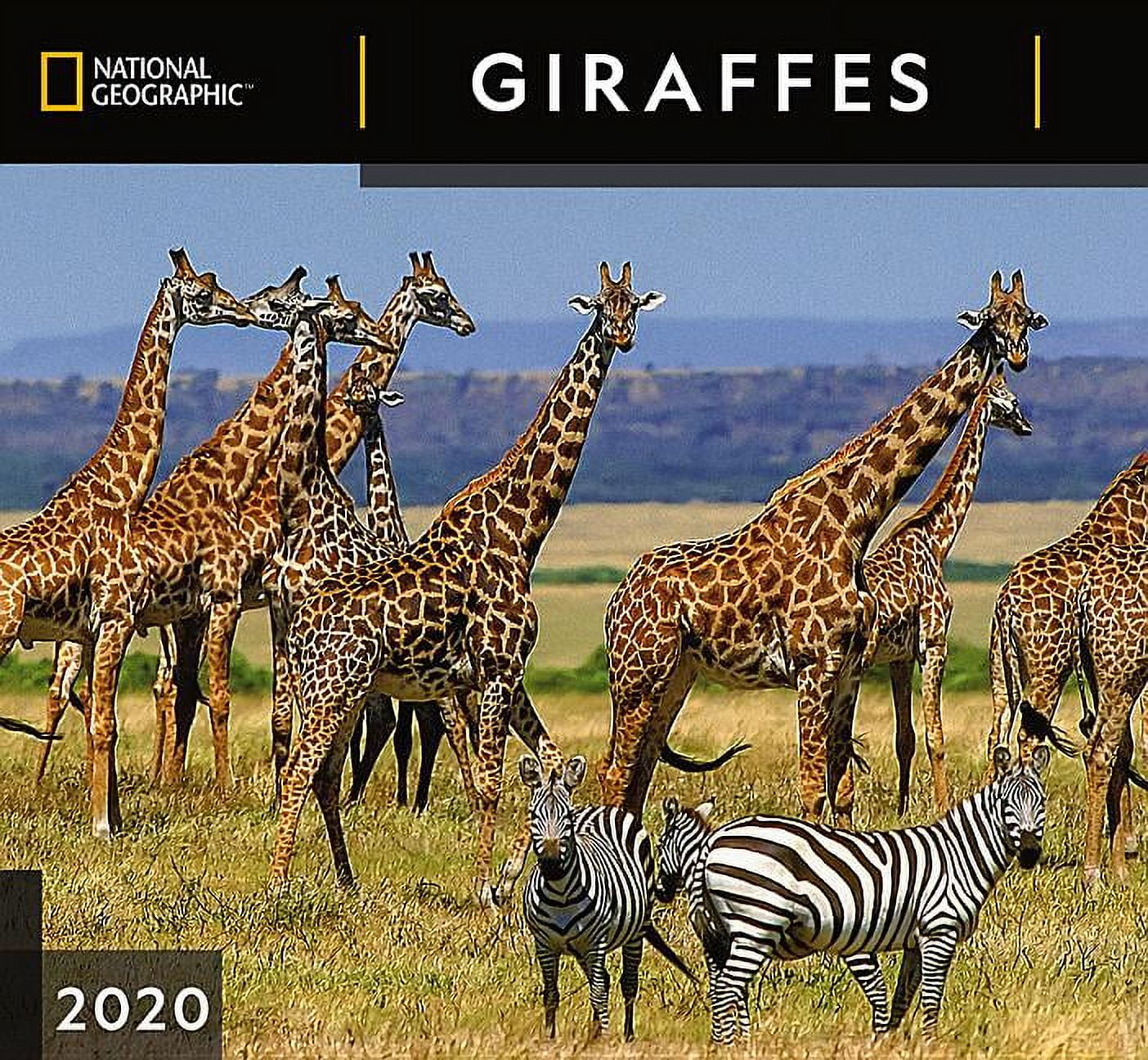 Cal 2020-National Geographic Giraffes Wall (Other) - Walmart.com
