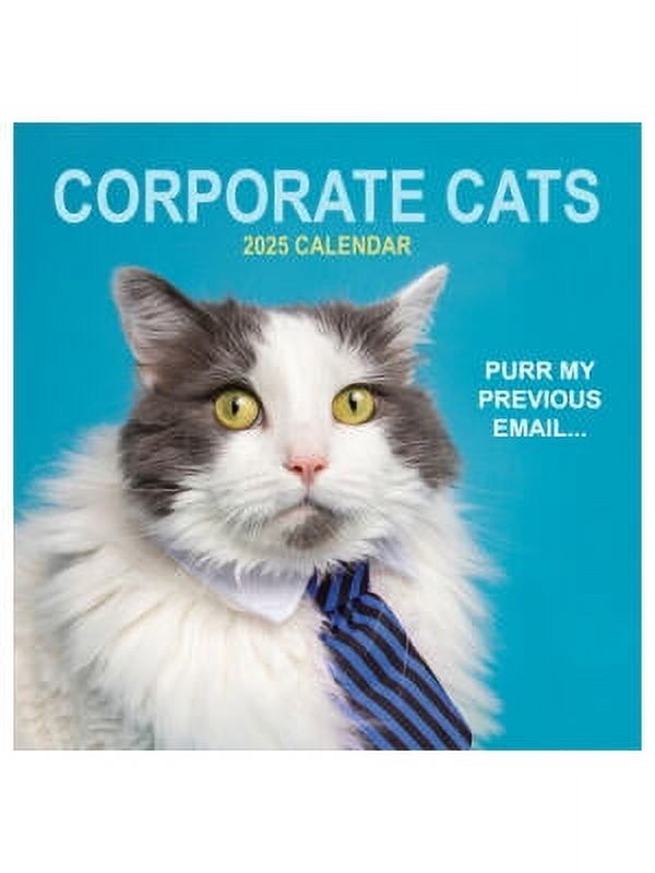 Cal 2025- Corporate Cats Wall - Walmart.com