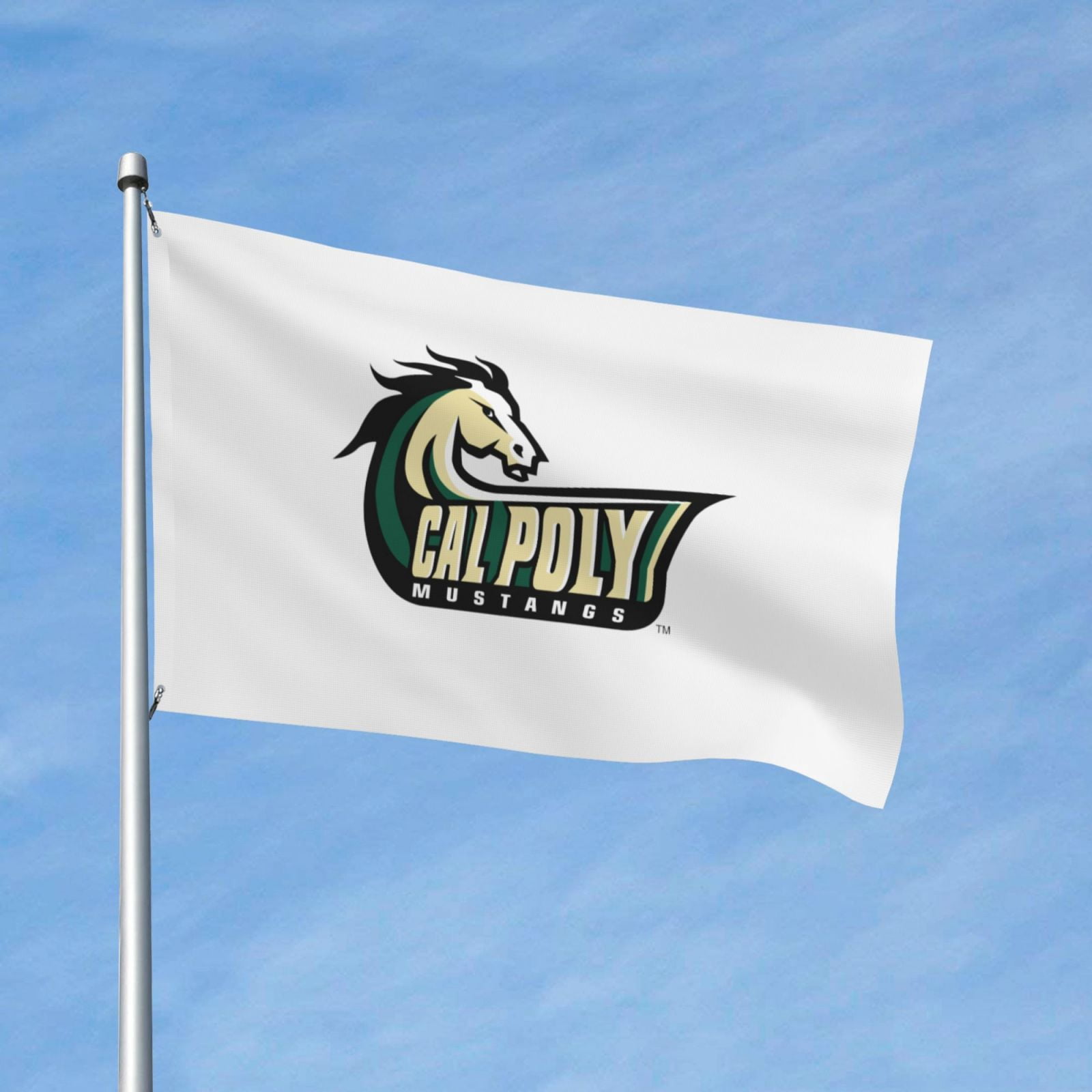 Cal Poly Mustangs 3x5 Ft Flag Double Sided Indoor Outdoor Double ...