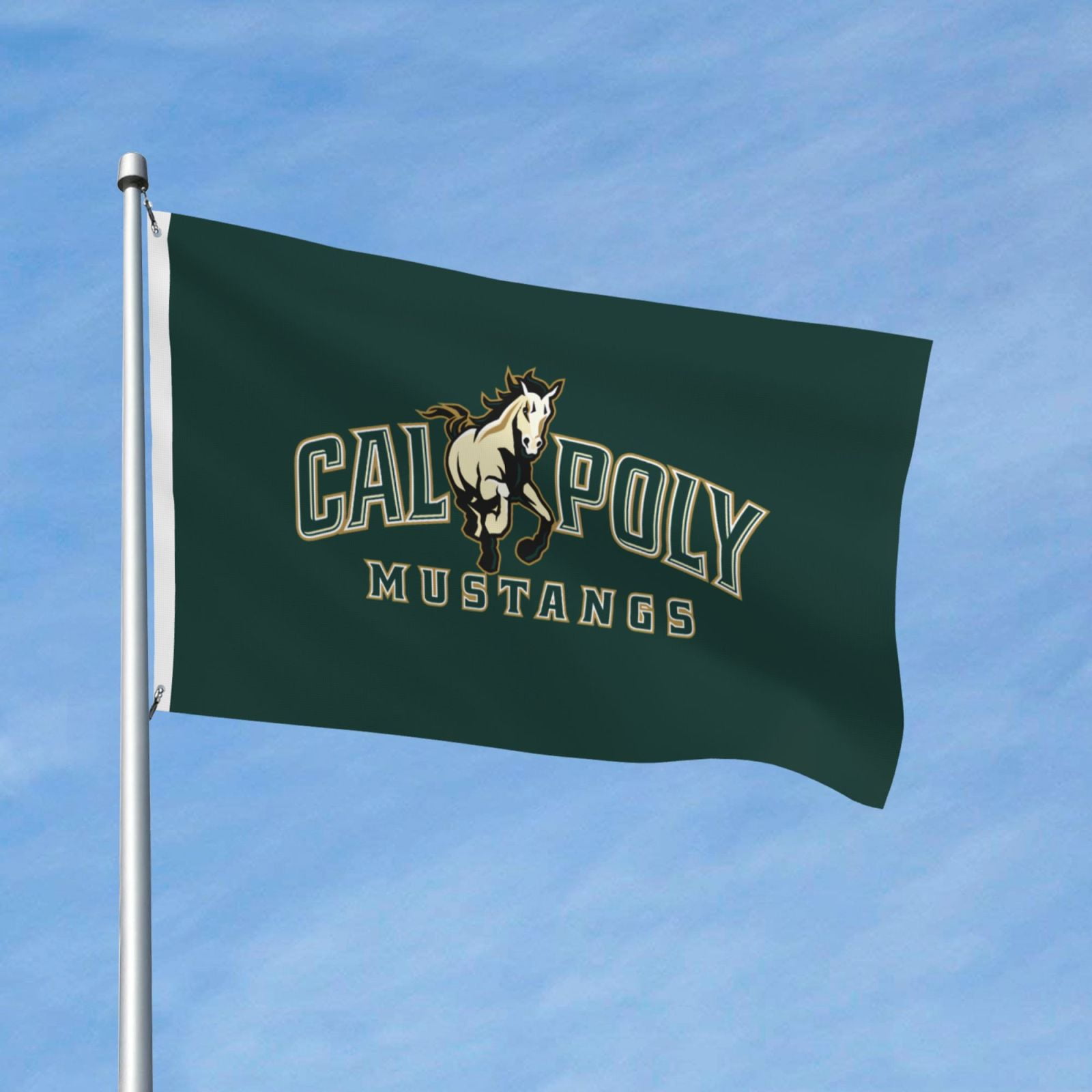 Cal Poly Humboldt Cal Poly Mustangs Wall Banner Pennant Flag Slo Flag