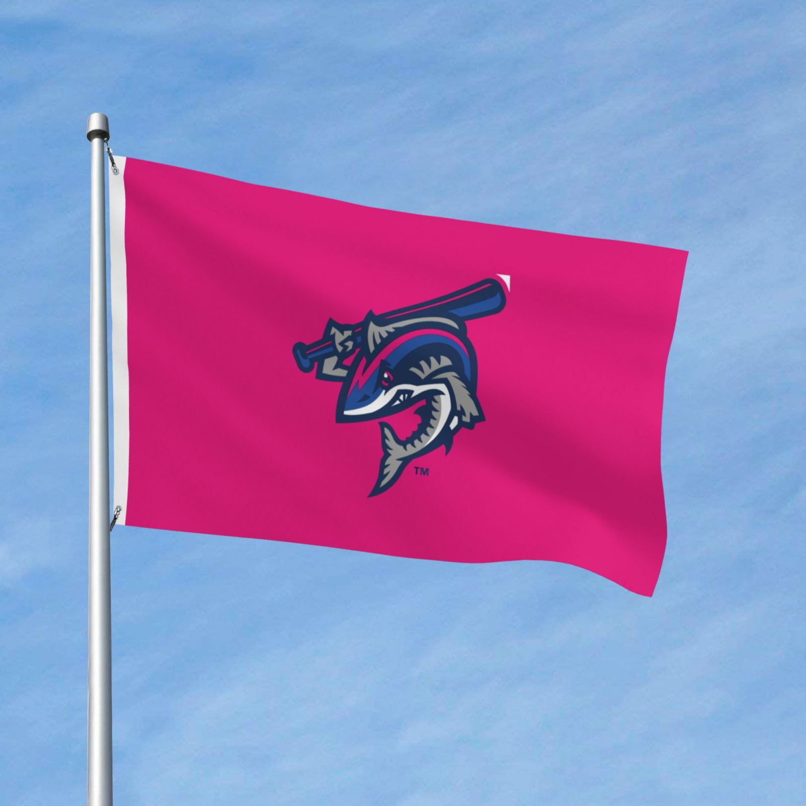Pensacola Blue Wahoos Banner 3x5 Ft Flag,Double Sided Printed Flag ...