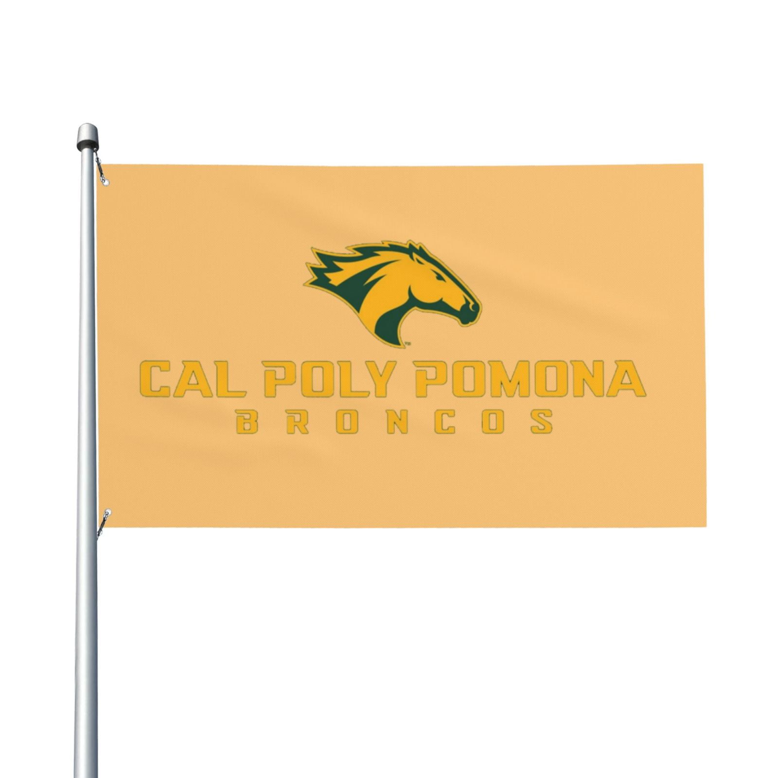 Cal Poly Mustangs Flag 3x5 Outdoor ,Sewn Stripes, Stronger Brass ...