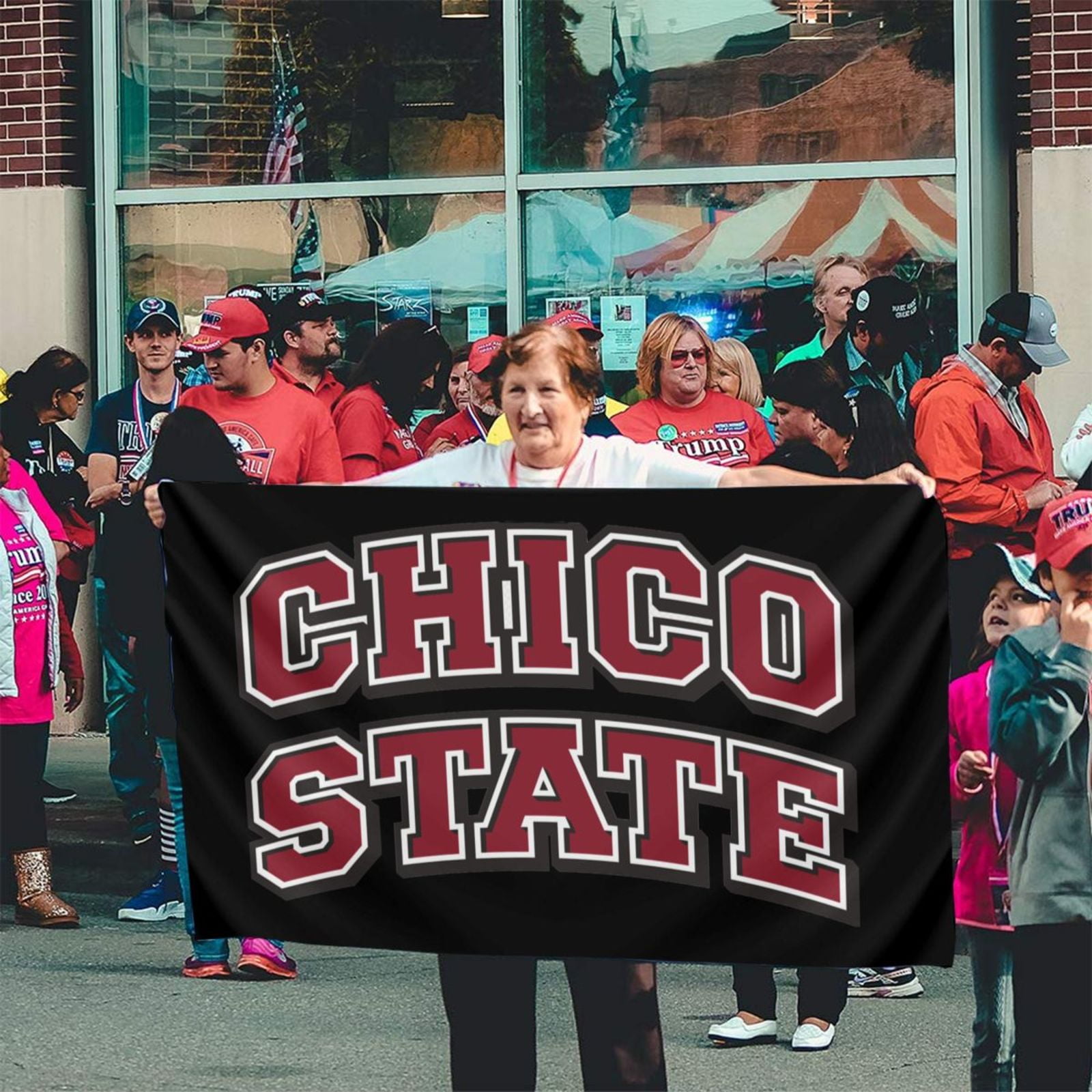 Cal State Chico Wildcat Banner Breeze Flag Double sided Outdoor Flags ...