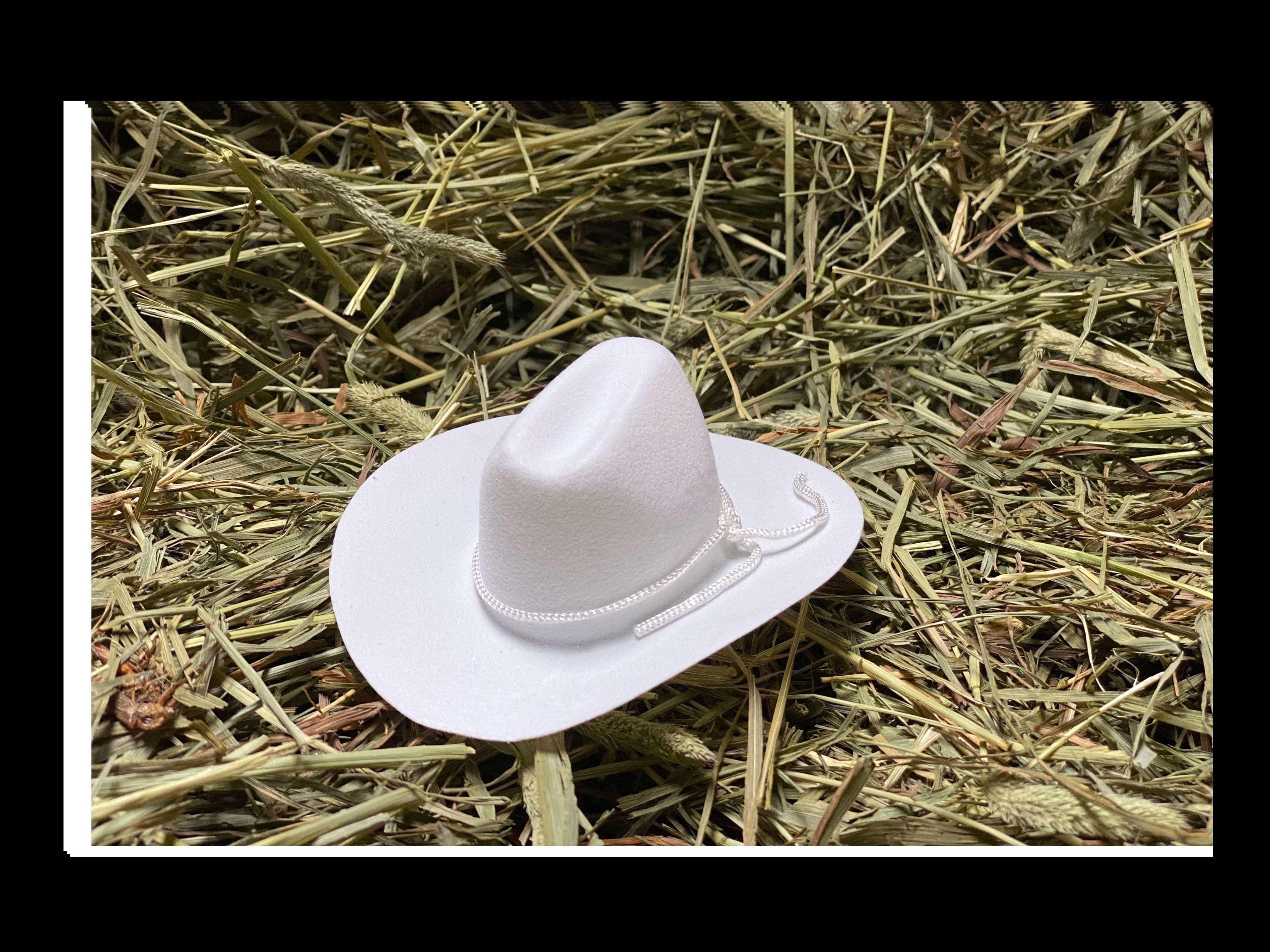 CalCastle Craft Mini Cowboy Hat Decoration, White, 3", 1 PC - Walmart.com